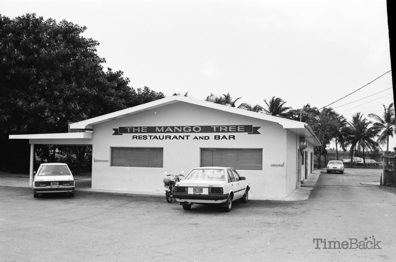 Mango Tree, 1985 | TimeBack