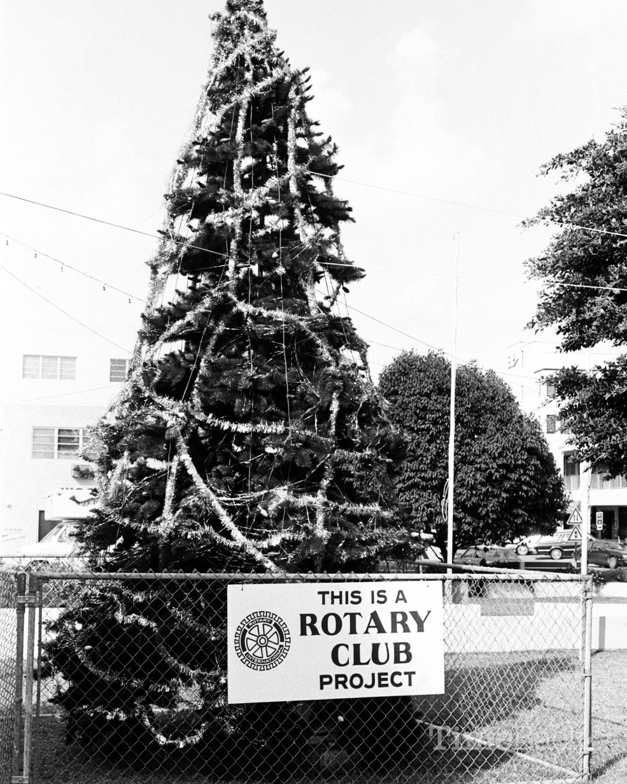 Rotary tree | TimeBack